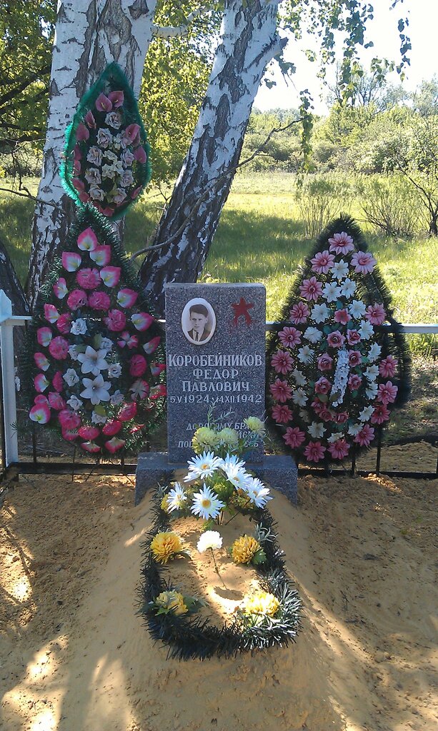 Ünlü kişilerin mezarları Могила летчика Ф.П. Коробейникова, Rostovskaya oblastı, foto