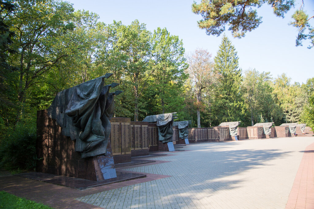 Anıt, heykel Вечный огонь, Brianskaya oblastı, foto