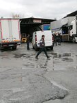 Samnak Samsun Nakliyat (İstanbul, Bahçelievler, Yenibosna Merkez Mah., Şehit Yunus Çaça Sok., 3), nakliye firmaları  İstanbul'dan