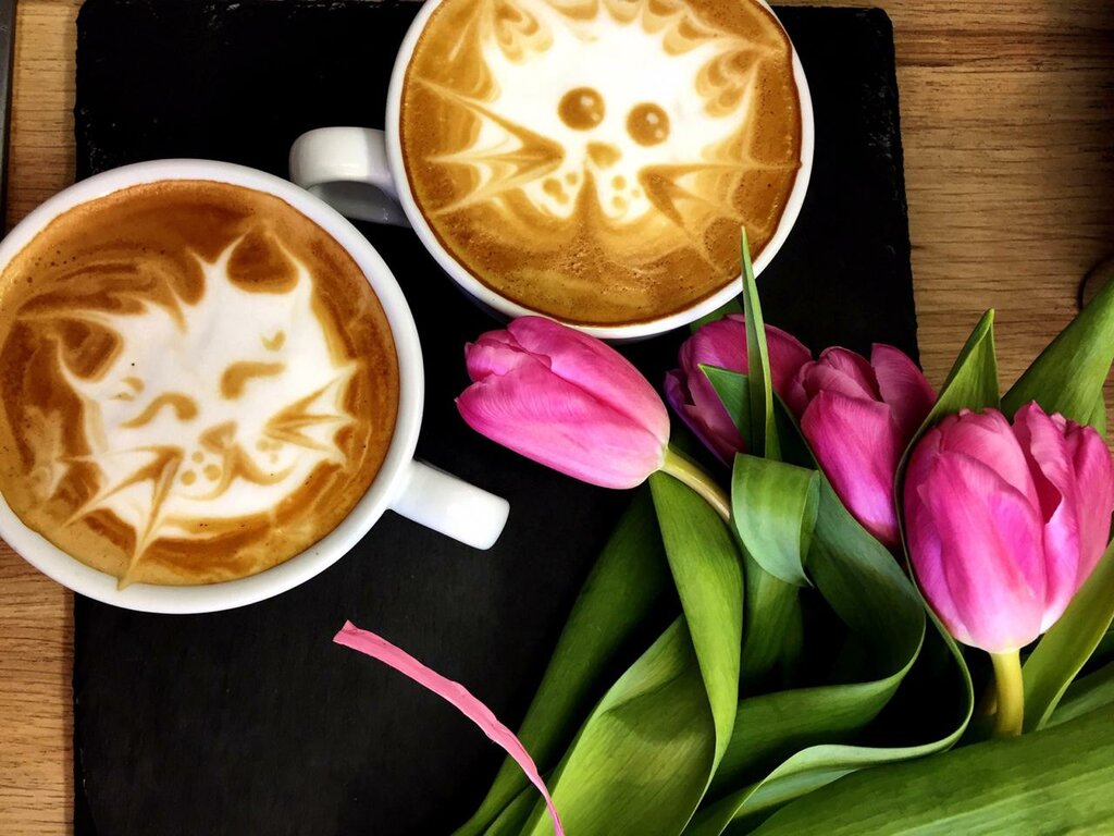 Kahve dükkanları Keks and Coffee, Kolpino, foto
