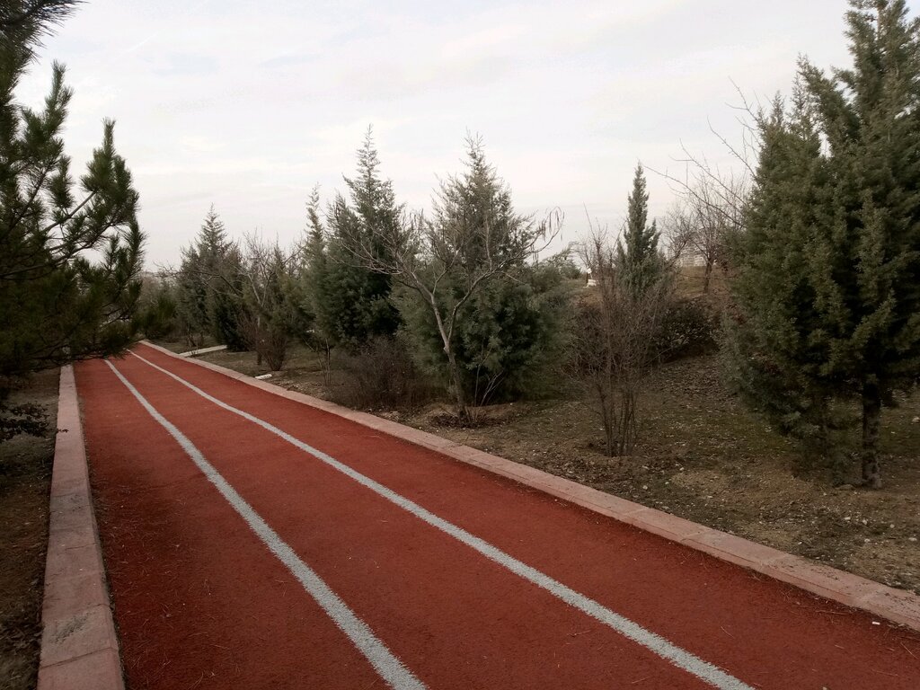 Parklar ve ormanlar Kentkoop Parkı, Ankara, foto