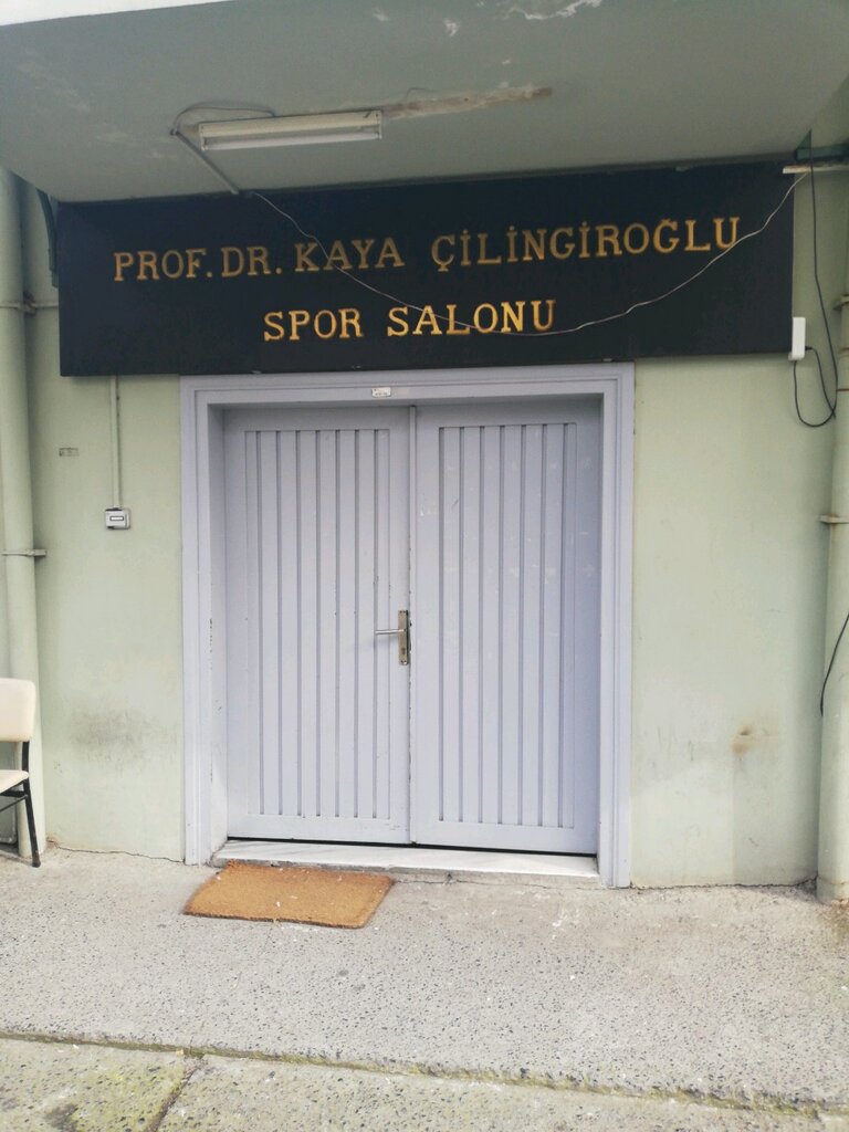 Spor okulları İstanbul Üniversitesi Çapa Basketbol Spor Okulu, İstanbul, foto