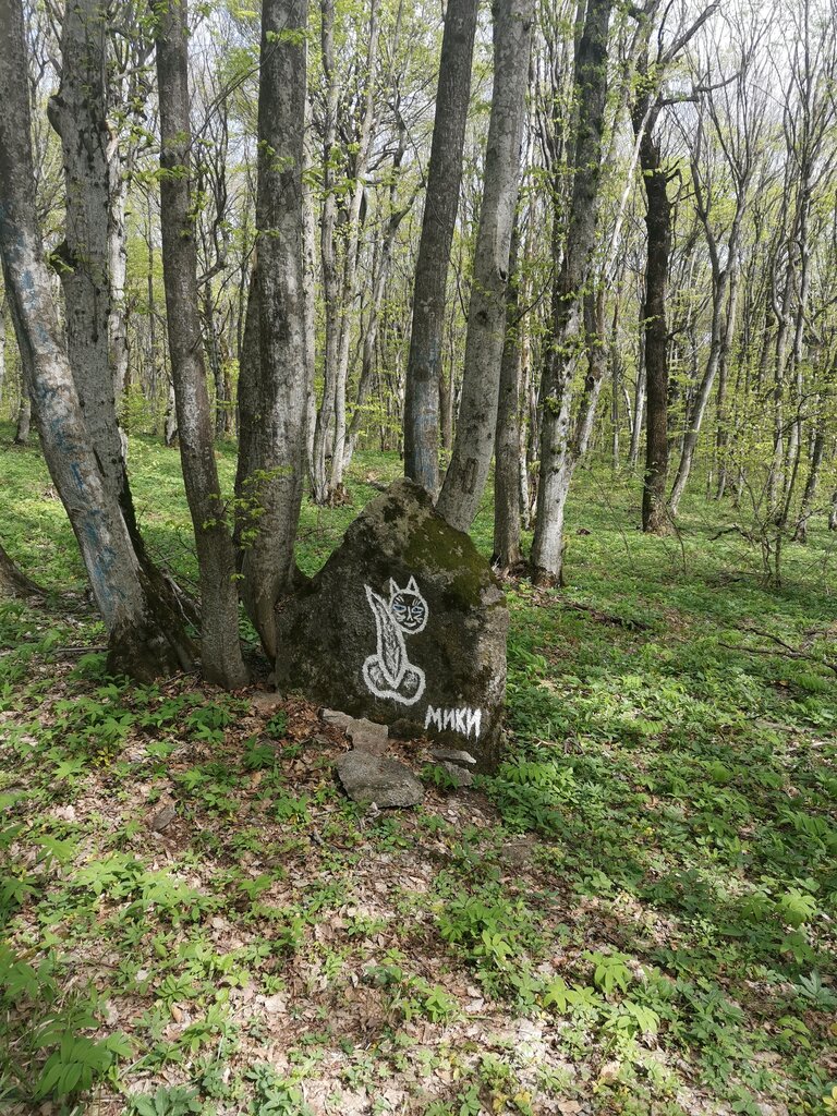 Turistik yerler Кот Микки, Zheleznovodsk, foto
