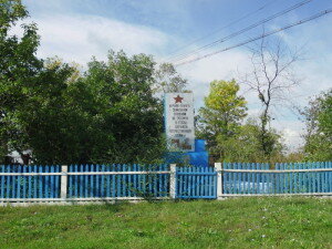 Землякам, павшим в годы Великой Отечественной войны (Ulyanovsk Region, Pavlovskiy munitsipalny okrug, derevnya Novaya Kamayevka, Tsentralnaya ulitsa), anıt, heykel  Ulyanovskaya oblastından