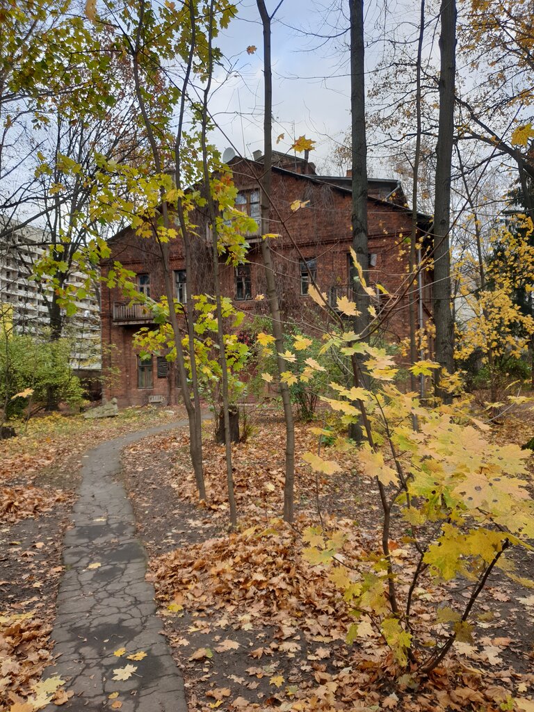 Sanat okulları Арт-мансарда Красного дома, Moskova, foto