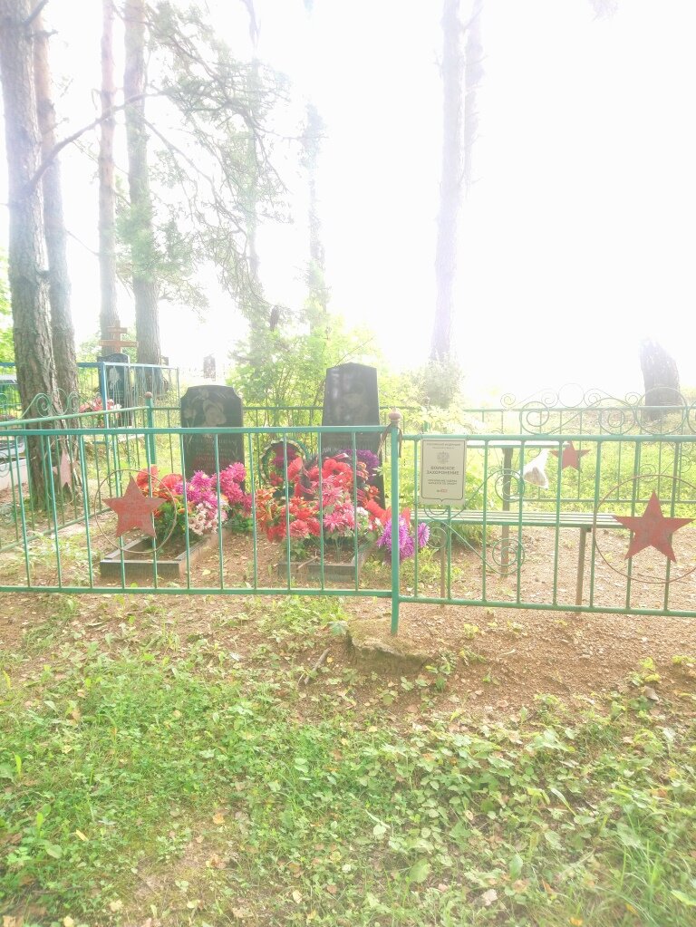 Ünlü kişilerin mezarları Ф.З. Вершинин, Kalujskaya oblastı, foto
