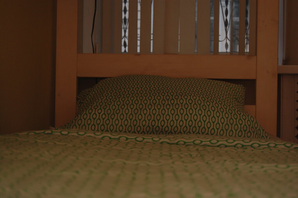 Pansiyonlar, hosteller Laym, Moskova, foto