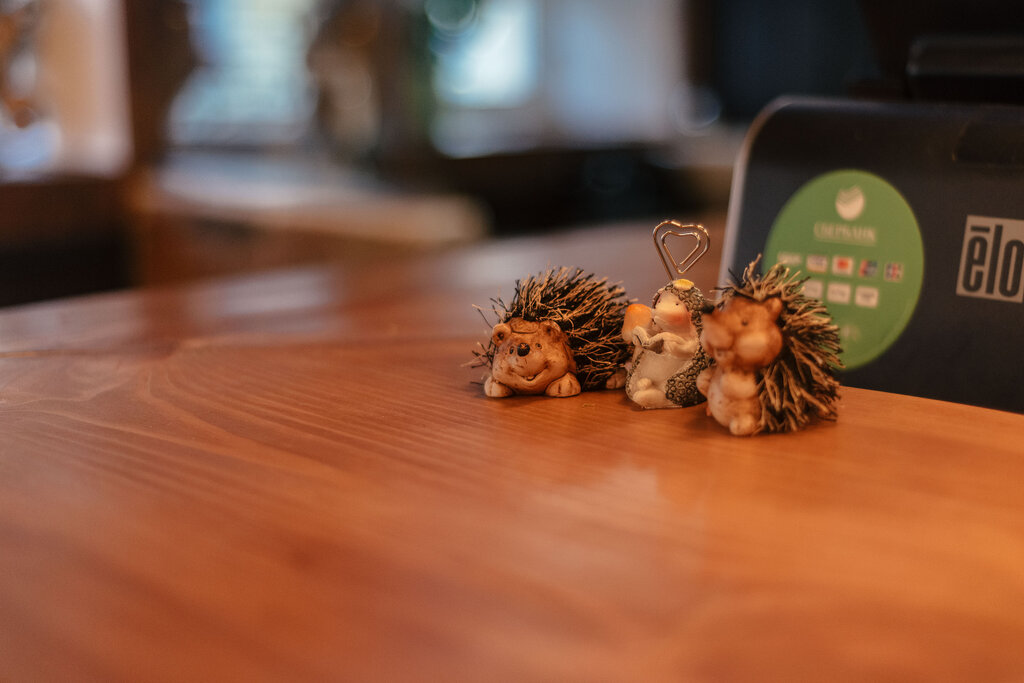 Kafe Ezhiki, Yaroslavl, foto