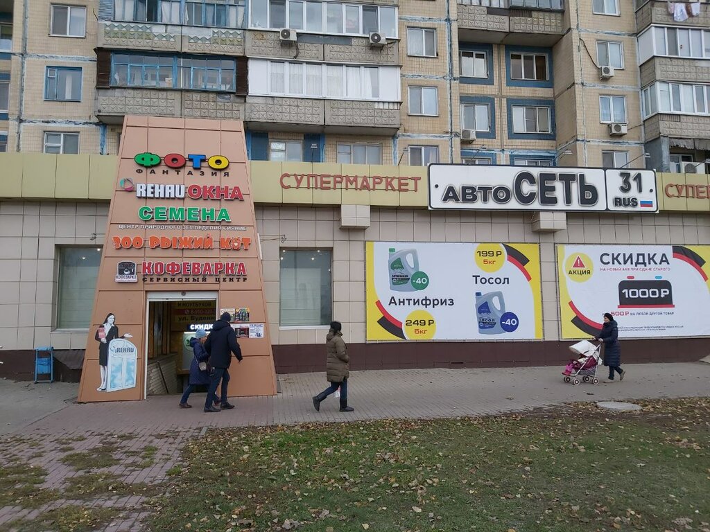 Petshop Рыжий Кот 31, Belgorod, foto