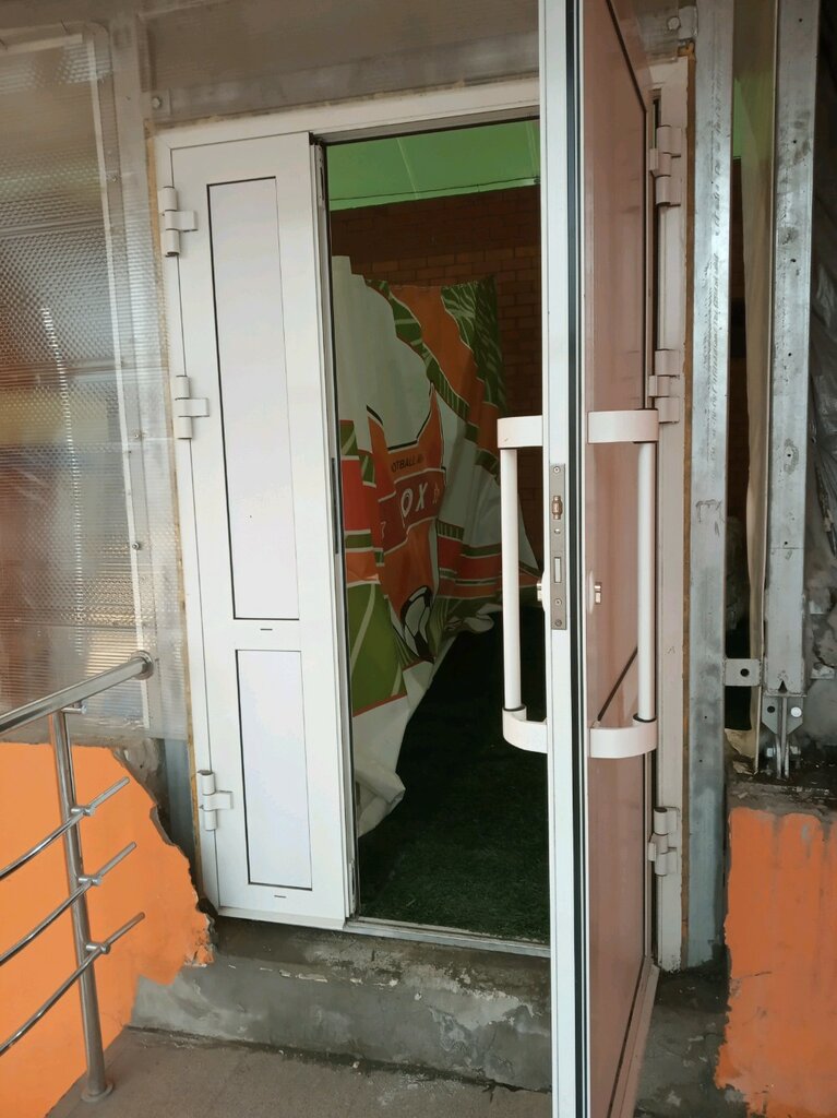 Spor kulüpleri Fox Football Academy, Moskova, foto