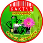 Cactus (ulitsa Lenina No:224), kırtasiyeler  Diatkovo'dan