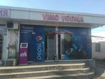 Liquor Store (Qorhojiota Street No:17), alkollü içecekler  Taşkent'ten