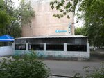 Sputnik (Saken Seyfullin Street No:22), bar  Temirtav'dan