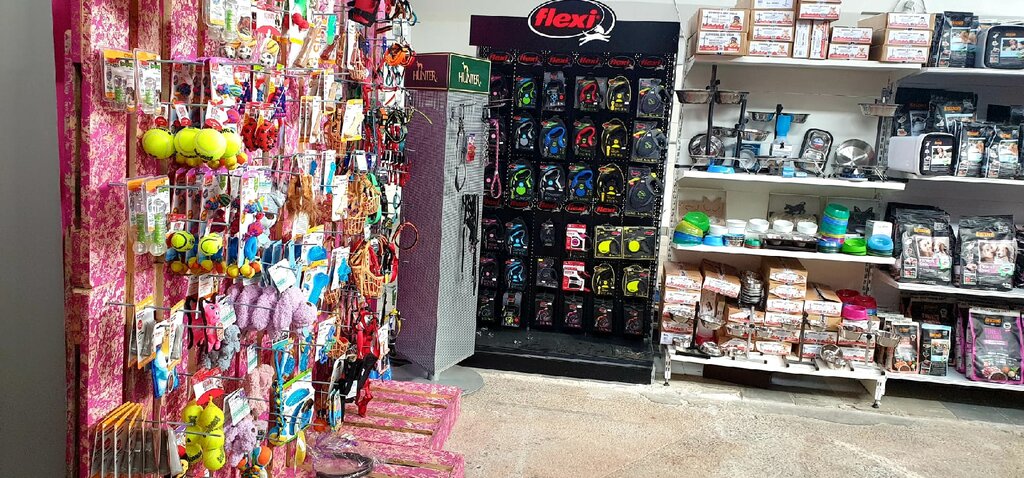 Petshop Trezor, Murmansk, foto