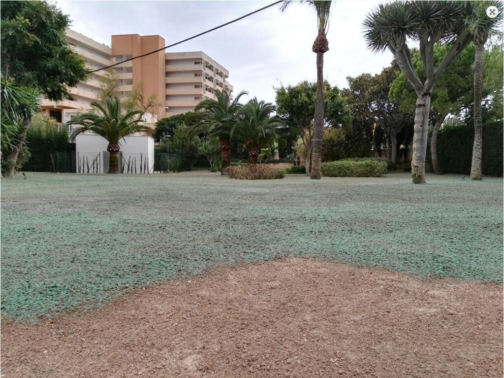 Çiçek teslimatı Jardinería Emilio Flores, Balear Adaları, foto