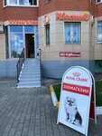 Хвостик (Shkolnaya Street No:45В), petshop  Elektrougli'den