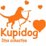 Kupidog Russkaya tsvetnaya bolonka (Druzhby Street No:15Ак2), evcil hayvan yetiştiricileri  Sergiyev Posad'dan