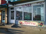 Флорита (Tereshkovoy Street No:21с3), tohum satan yerler  Vladivostok'tan