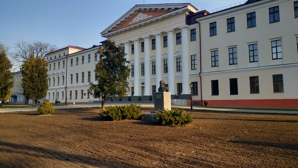 Anıt, heykel Бюст А.В. Советова, Gorki, foto