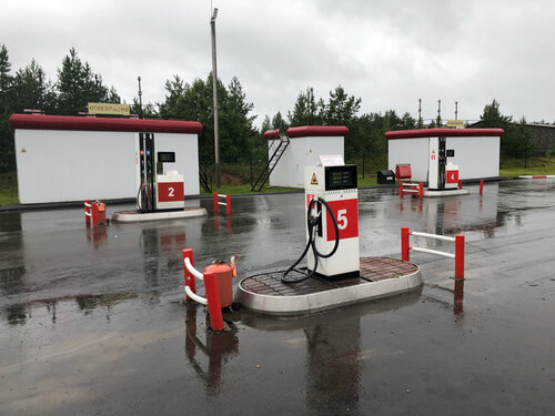 Benzin istasyonu Gas Station, Vologodskaya oblastı, foto