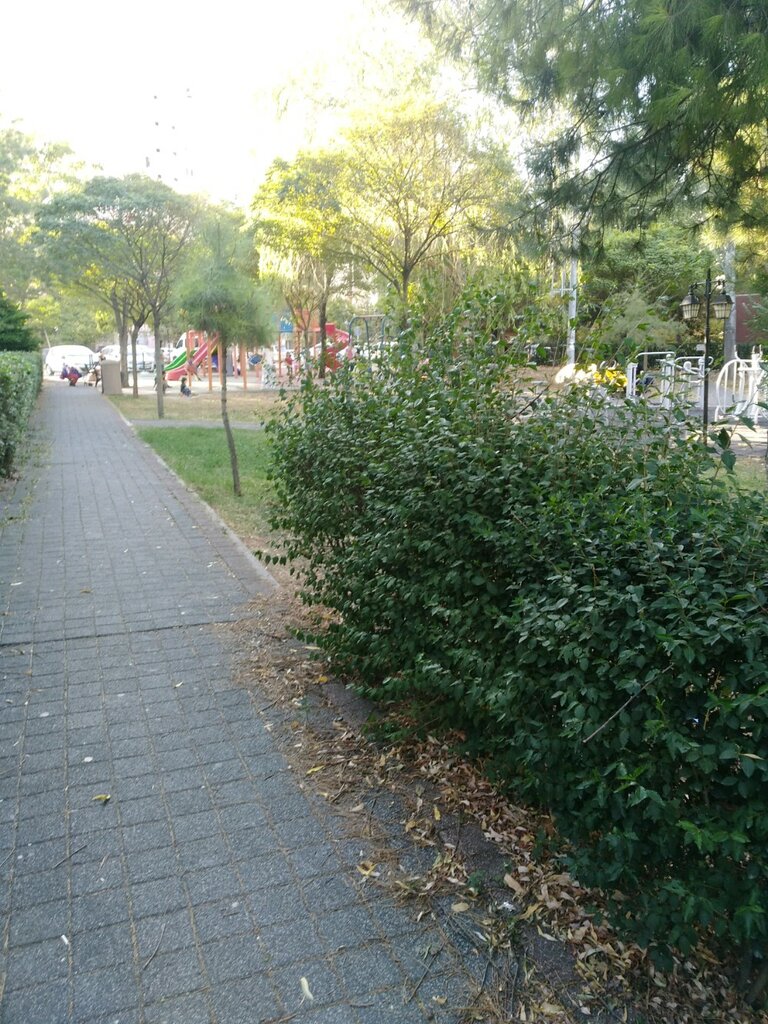 Parklar ve ormanlar Gazi Yüzbaşı Turgay Salih Canoğlu Parkı, İstanbul, foto