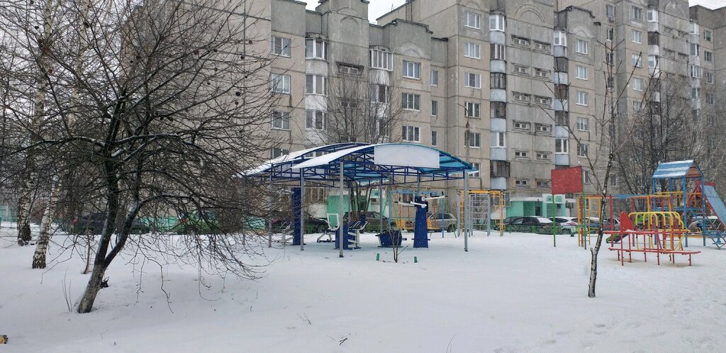 Spor alanı Уличные тренажеры, Vladimir, foto