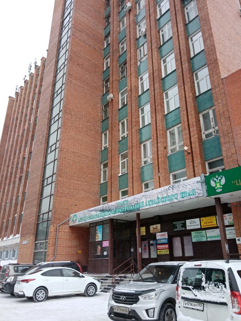 Yardım kuruluşları Наш Выбор, Barnaul, foto