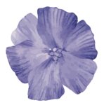 Ruellia Dekorasyon (Konya, Meram, Aşkan Mah., Sancaktar Cad., 34), i̇ç dekorasyon ürünleri  Konya'dan