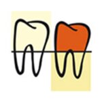Dr. med. dent. Christoph Kiwitz Dr. med. dent. G. Gabersek (North Rhine-Westphalia, Essen, Frankenstraße, 143), özel ağız ve diş sağlığı klinikleri ve muayenehaneleri  Kuzey Ren‑Vestfalya'dan