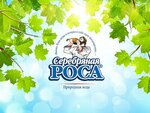 Serebryanaya Rosa (ulitsa Lovenetskogo No:20), su satışı  Vologda'dan