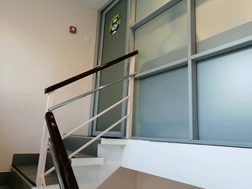 Spor kulüpleri Боевые Панды, Habarovsk, foto