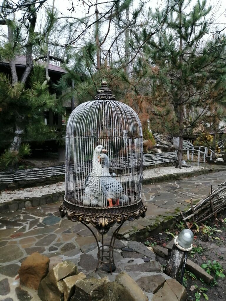 Resort oteller, tesisler Яблочный гусь, Krasnodarski krayı, foto