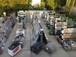 Dool Rotterdam Steenstore vd (Kralingseweg No:420), sera ve bahçe ürünleri  Rotterdam'dan