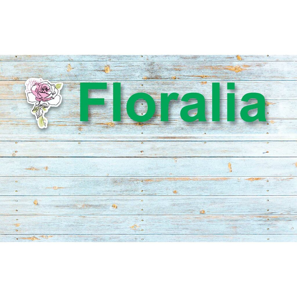 Çiçek teslimatı Floristería Floralia, Endülüs, foto