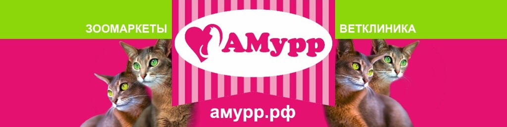 Petshop Zoomarket Amurr, Krasnoyarsk, foto