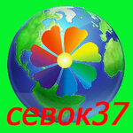 Sewok37 (Kavaleriyskaya Street No:54, Ivanovo), sera ve bahçe ürünleri  İvanovo'dan