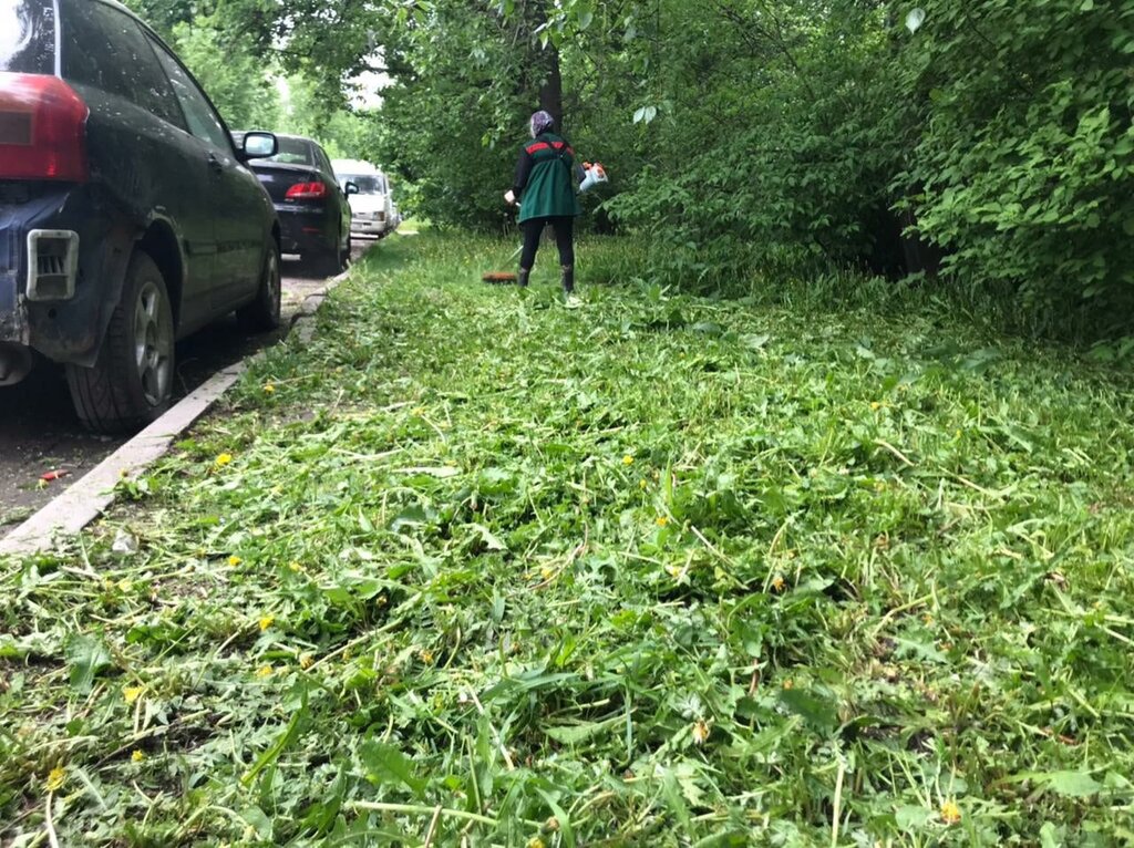 Şehir planlama Pokos travi i gazonov V Aprelevke, Aprelevka, foto