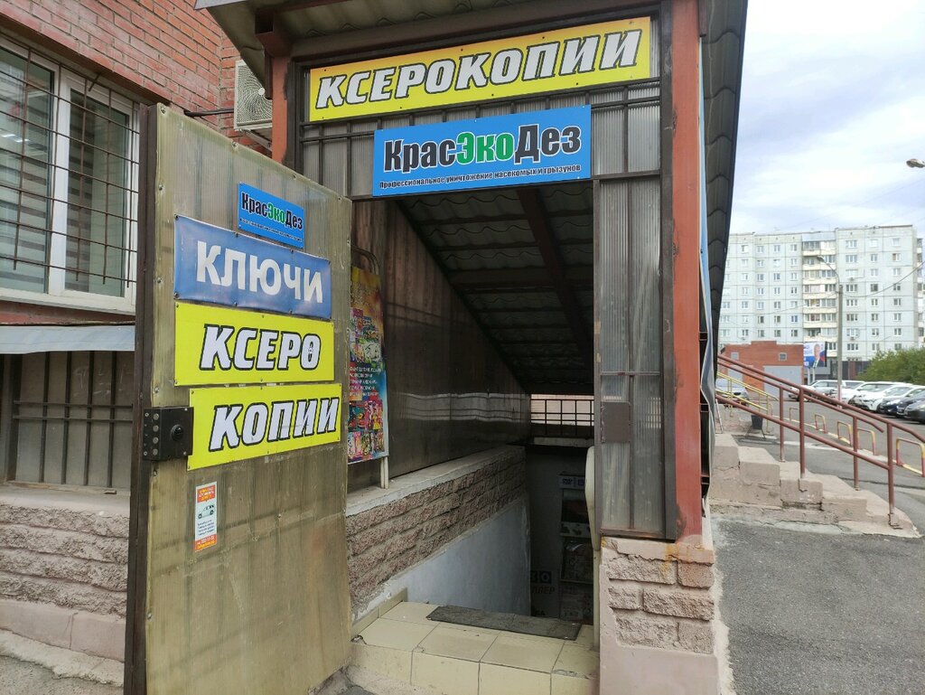 Fotokopi dükkanları Multimaniya, Krasnoyarsk, foto