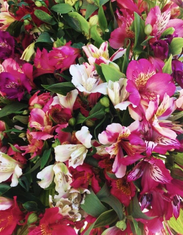 Çiçek teslimatı Happy Planet, Sevastopol, foto