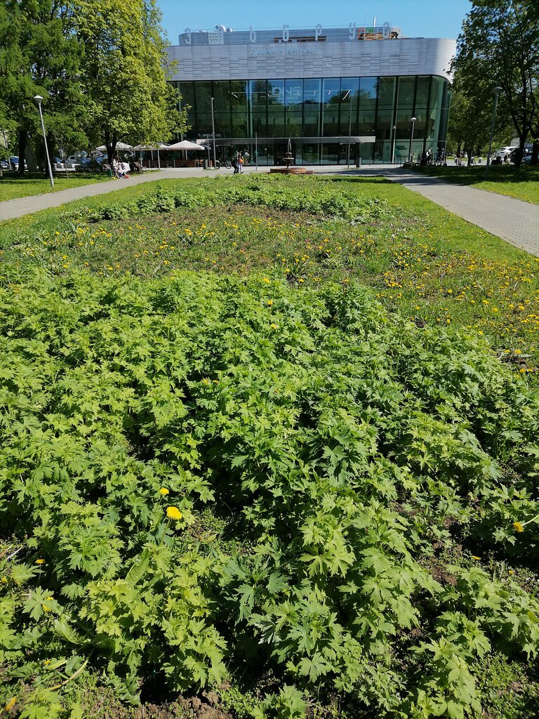 Meydan Сквер у кинотеатра Эльбрус, Moskova, foto