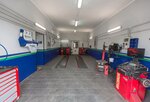 Euromaster Pagani Pneumatici (Pagani, Via Quarto S. Marzano 92), jant ve lastikçiler  Campania'dan