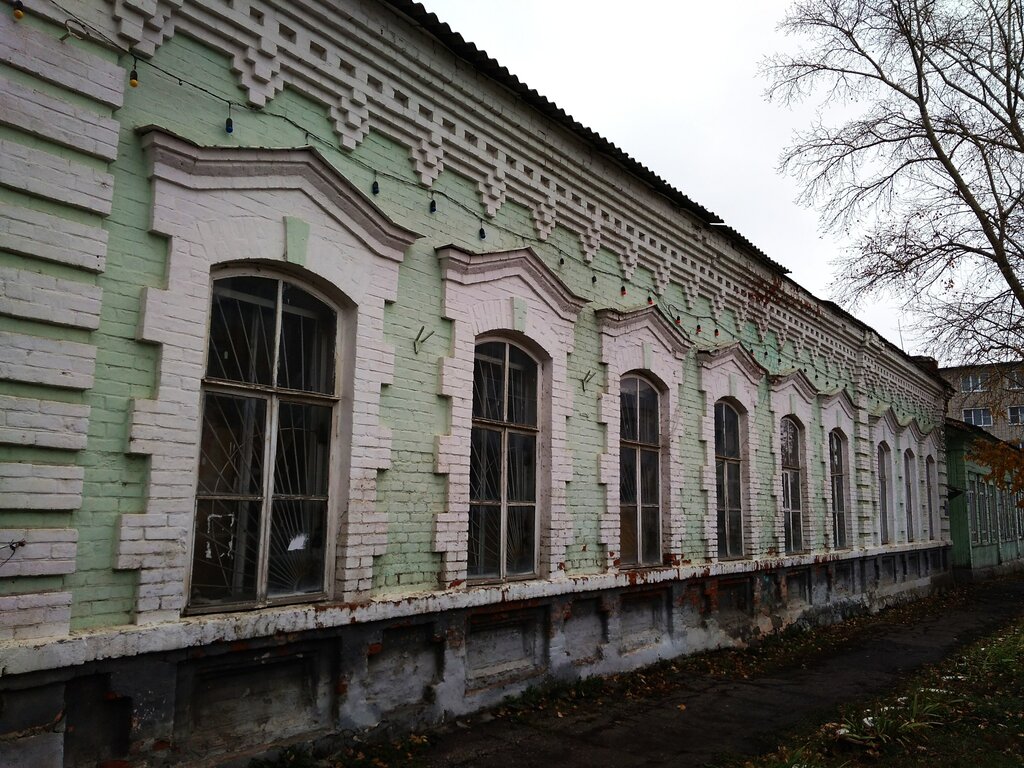 Turistik yerler Здание Алатырской женской гимназии, Alatyr, foto