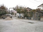 Shoe Repair (Darvozai Uglon ko'chasi No:39, Bukhara), ayakkabı tamiri  Buhara'dan