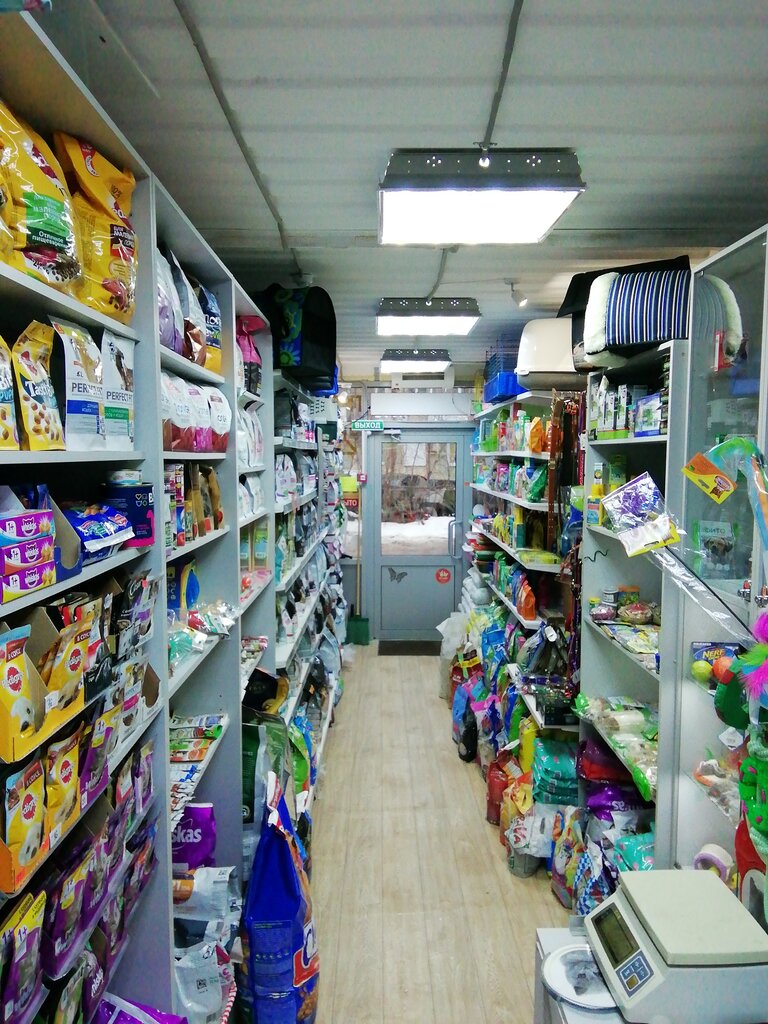 Petshop ZooMir, Perm, foto