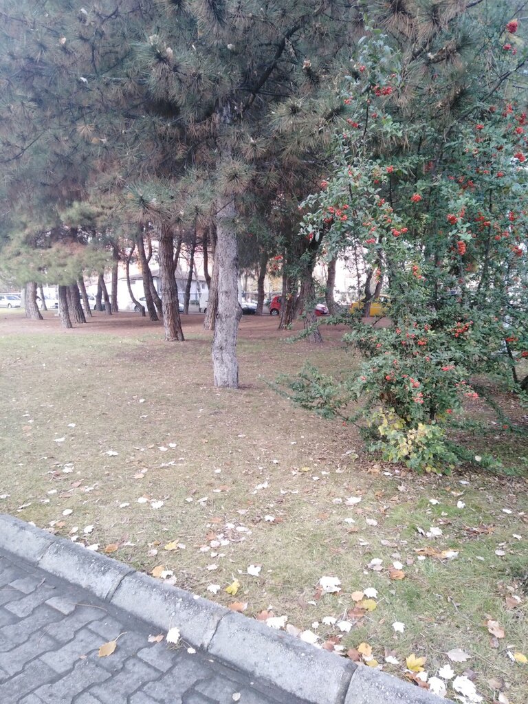 Parklar ve ormanlar Şehit Ercan Bolat Parkı, Ankara, foto
