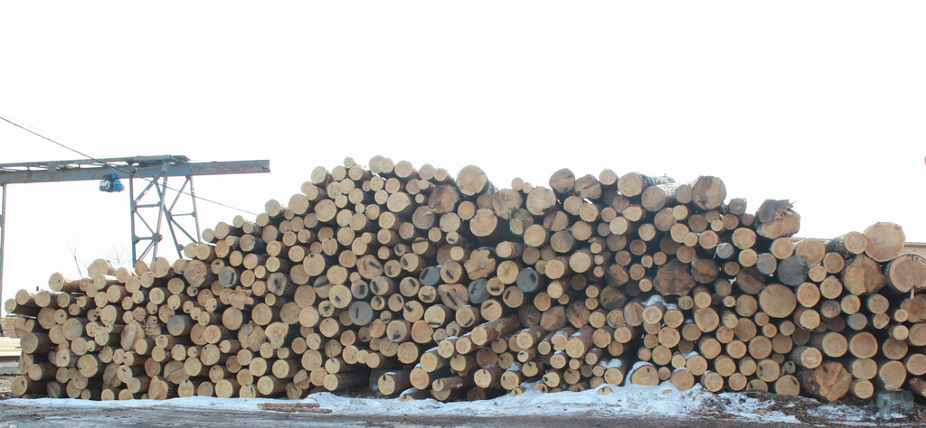 Ahşap endüstrisi Kopeysk woodworking plant, Kopeysk, foto