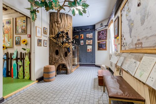 Müzeler ve sanat galerileri Koshki, Vsevolgsk, foto