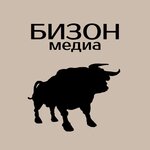 Бизон медиа (Teatralny proyezd No:20), reklam ajansları  Novouralsk'tan