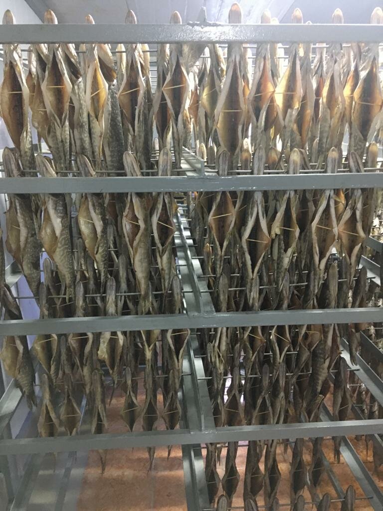 Balık ve deniz ürünleri Fish factory Kumovka, Volgogradskaya oblastı, foto