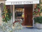 Forno Cioni e Ghibellini (Emilia-Romagna, Modena, Piazza della Vittoria, 1), ekmek fırını  Emilia‑Romagna'dan